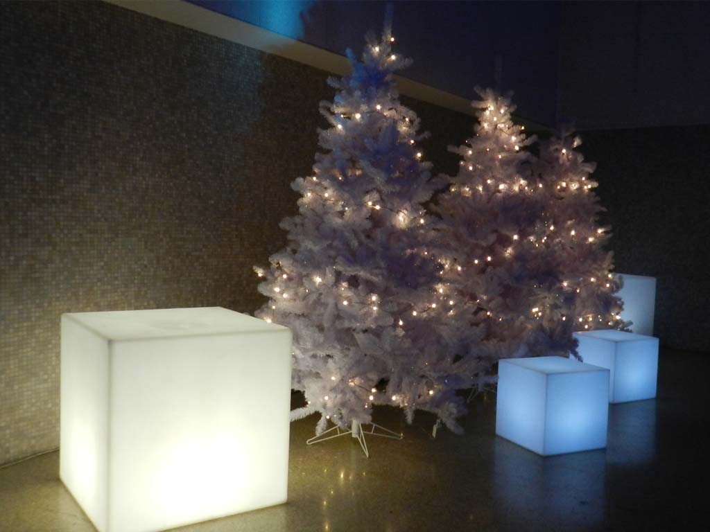 Noleggio Cubo Light - oltreilgiardino